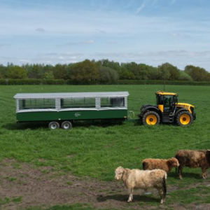 Dunham Massey Pumpkin Picking – Brookheys Farm